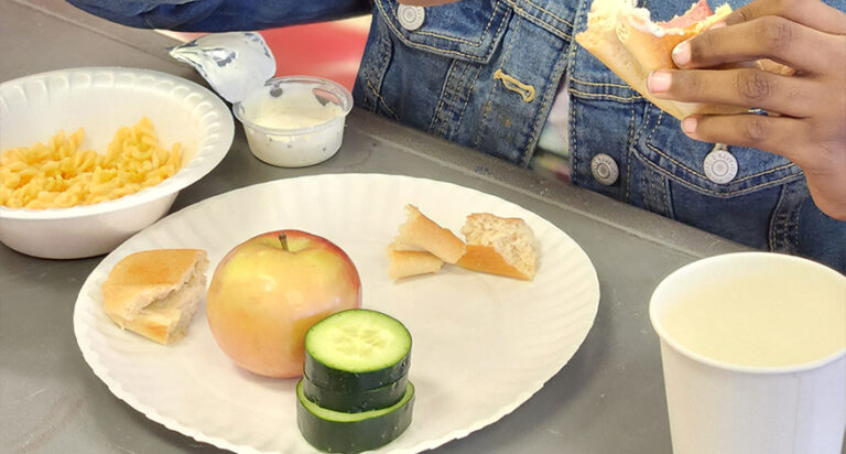 Auburn-Lewiston YMCA Drop-In Enrichment Program – YMCA Alliance of ...